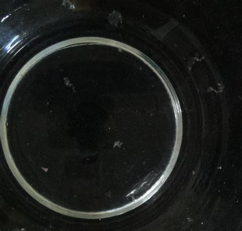 How To Use The Microplastic Object Detection Api