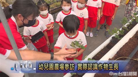 幼兒園農場參訪 實際體驗作物生長 鑫傳國際多媒體科技股份有限公司 Tdn台灣生活新聞