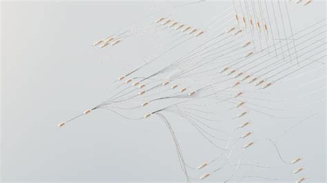 Foundation Models Foundation Models