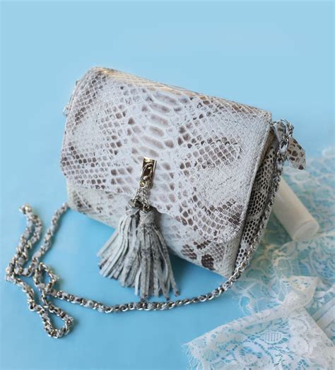 Fashion Women Python Skin Bag On Blue Background Stock Image Image Of