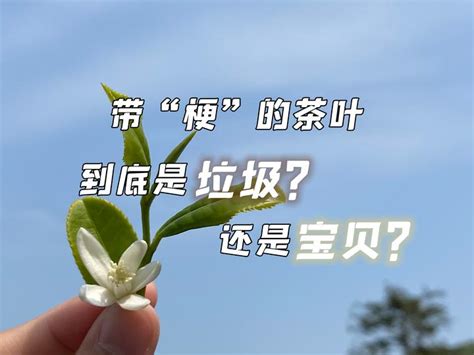 带“茶梗”的茶叶，到底是垃圾还是宝贝？六大茶类要求各不同 知乎