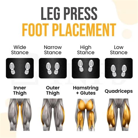 Leg Press Machine Artofit