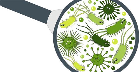 Діагностувальна робота з ЯДС Світ невидимий 4 клас Інші методичні матеріали Я досліджую світ