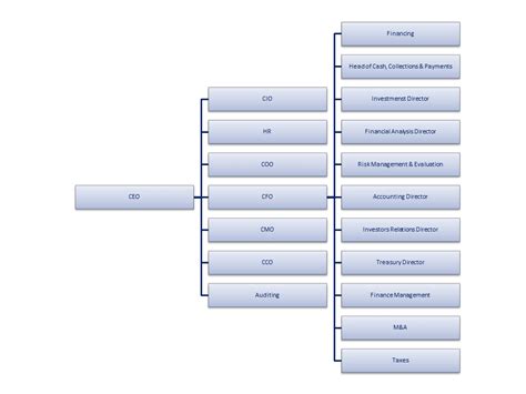Comprehensive Profile Of A Successful CFO Pedersen Partners