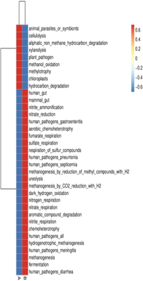 Top 35 Heat Map Of Functional Annotation Relative Abundance A Ibs D