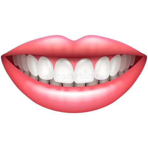 Teeth Stock Illustrations 236143 Teeth Stock Illustrations Vectors
