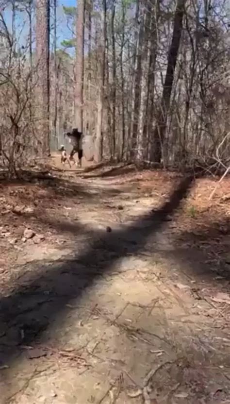 Boing Boing Boing Runexpected