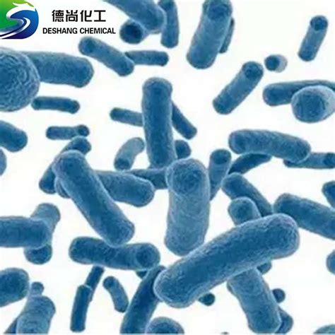 Bifidobacterium Bifidum Bb67 Shandong Deshang Chemical Co Ltd