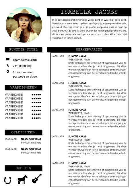 Gratis Voorbeeld CV Eenvoudig Een Professioneel CV Maken Gratis