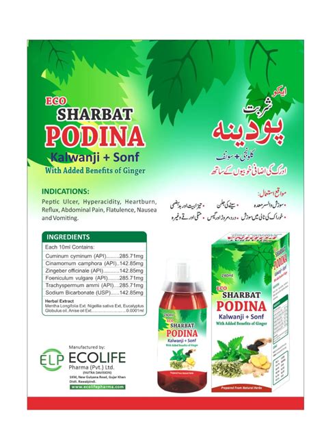 Sharbat Podina Sharbat E Podina Sharbat Podina Adrak Kalwanji 240ml Daraz Pk