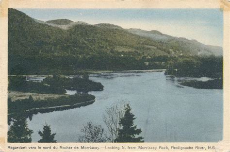 Restigouche River Nb New Brunswick Looking North From Morrissey Rock