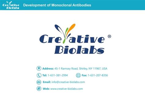 Yeast Display Technology Creative Biolabs Pptx