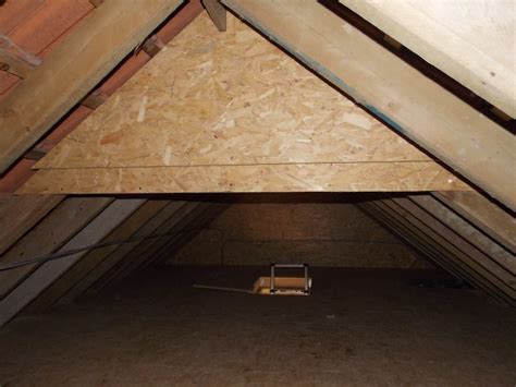 Successful Bat Mitigation Examples Richard Green Ecology