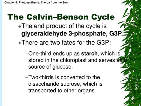 Ppt Understanding Photosynthesis The Process Of Converting Light