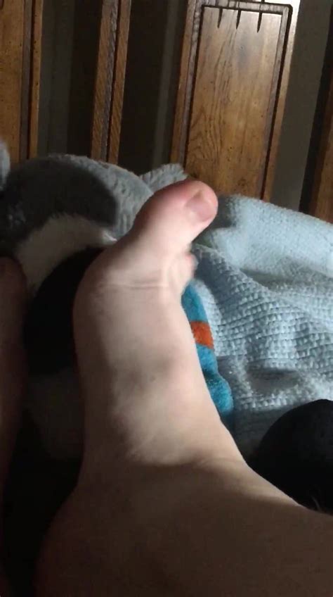 Foot Sniffing Plushie Thisvid Com