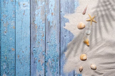 여름 해변 휴가 컨셉으로 자유로운 텍스트 공간을 즐길 수 있다 평면도 야자수 잎 그늘이 있는 오래된 파란색 나무 보드 배경에