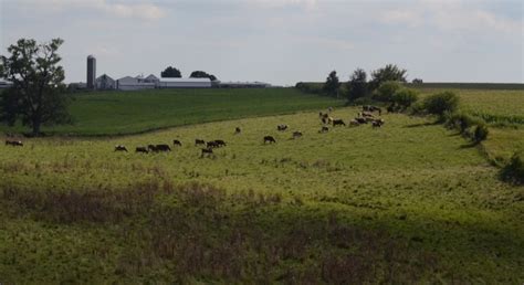 Usda Offering Webinar On Crp For Grasslands In New York Morning Ag Clips