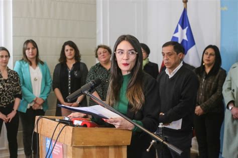 La Importancia Del Rol Del Seremi De Gobierno ELPINGUINO