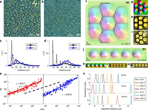 Schools Of Skyrmions With Internal Clusters And Chains A B Polarizing Download Scientific
