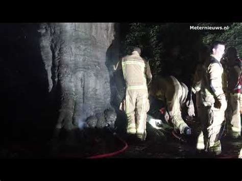 Brandweer Blust Brand In Eeuwenoude Boom Video
