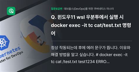 윈도우11 Wsl 우분투에서 실행 시 Docker Exec It 인프런 커뮤니티 질문and답변