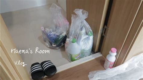 3일 내내 이삿짐 싸는📦 이사 브이로그🏠 고양이와 함께 이사하기🐱 일반이사 Youtube