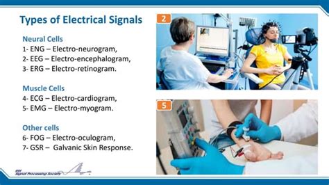 Biomedical Signal Processing Biomedical Signals Bio Signals Bio