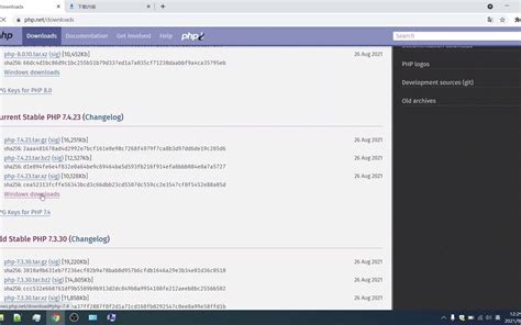 Php环境搭建哔哩哔哩bilibili