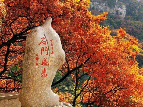 山东临朐县 山东潍坊临朐县 临朐县王锡利 大山谷图库