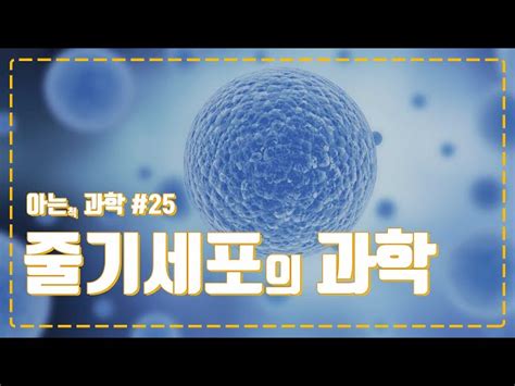 줄기세포stem Cell로 어떻게 난치질환을 치료할 수 있울까 미래의학기술로 꼽히는 줄기세포에 대해 아는 척 해보자