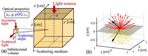 Applied Sciences Special Issue Near Infrared Optical Tomography