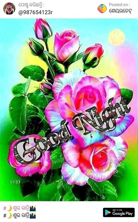 Good Night With Pink Roses