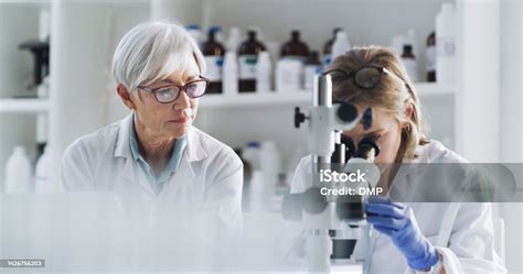 실험실 연구 과학자 팀 및 의료 의료를위한 과학 혁신 현미경 Dna 및 직장에서의 협업을 통한 혁신 미래 의약품 개발에 종사하는