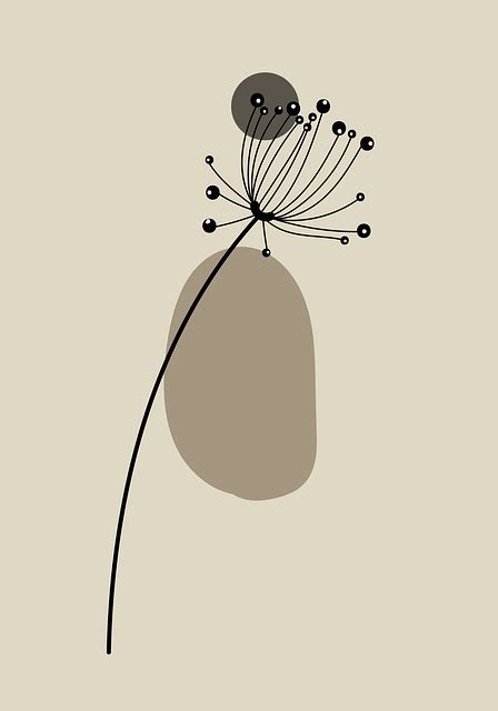 Download Seeds Flower Royalty Free Stock Illustration Image Pixabay