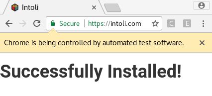 Using Google Chrome Extensions With Selenium