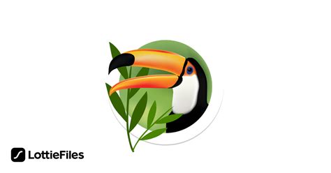 Free Curious Toucan Animation By Pavlo Monakhov Lottiefiles