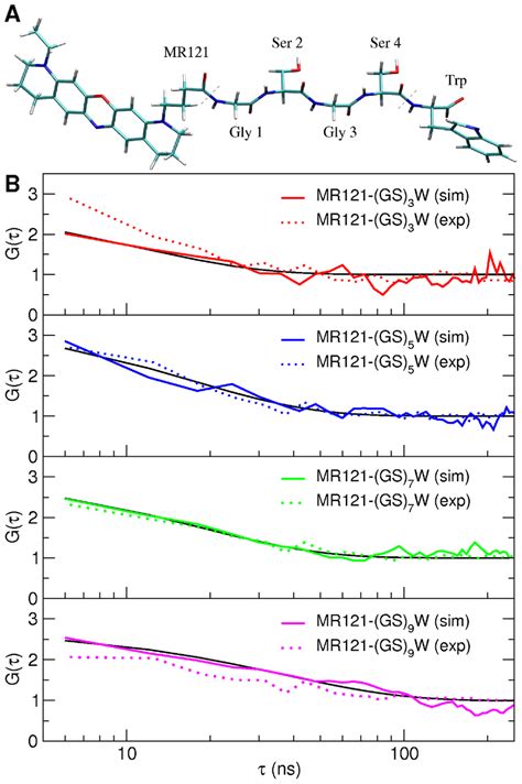 Autocorrelation Functions G For The Labelled Peptides A Molecular Download Scientific