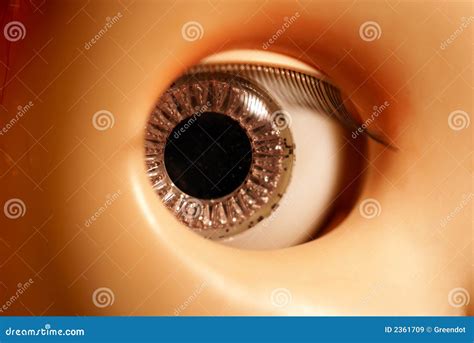 Dolls Eye Stock Image Image Of Grey Doll Looking Beautiful 2361709
