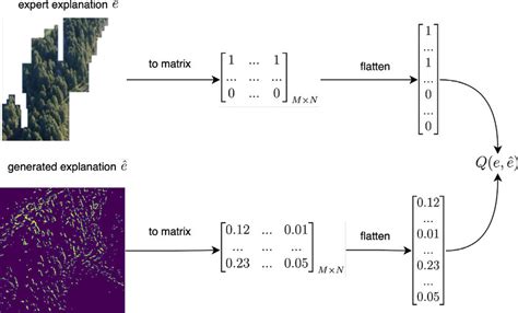 Explanation Evaluation Procedure For A Saliency Map Image Explanation