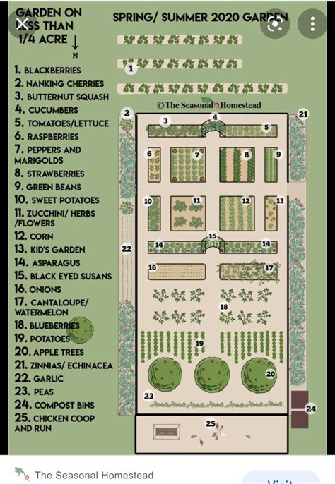 Vegetable Garden Layout Design
