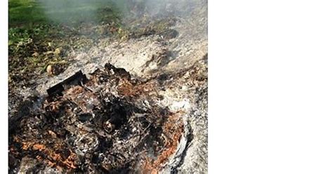 Robomower Just Wanted To Stay Warm Imgur