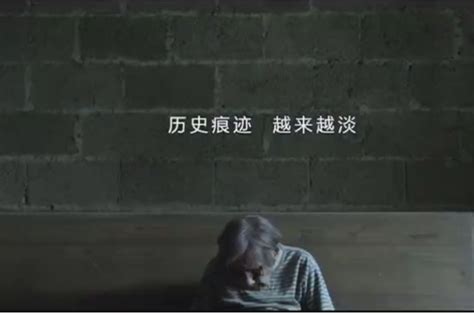 中国妇女报：呼请支持将“慰安妇”改称性奴隶