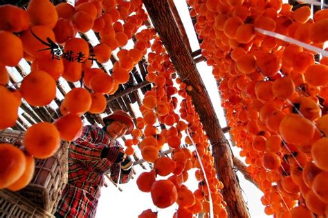 10月23日霜降，不管贫富记得“吃3样、忌3样”，顺应时节身体棒 知乎