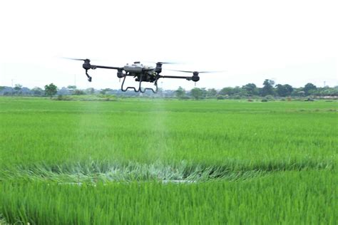 Ứng dụng công nghệ cao trong sản xuất nông nghiệp tạo đà phát triển bền vững