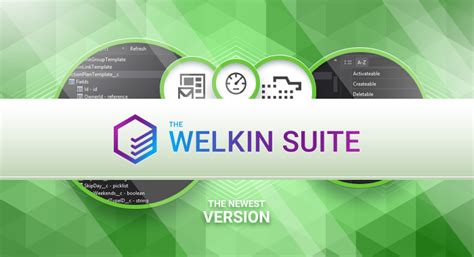 Salesforce Schema Explorer In The New Release The Welkin Suite
