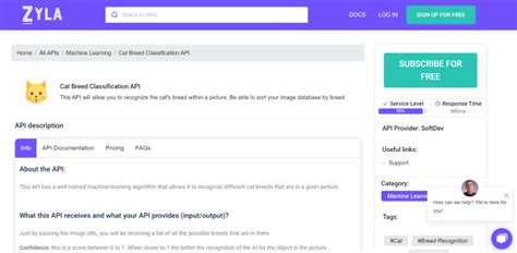 How To Detect Cat In Photos And Recognize Their Breed With An Api