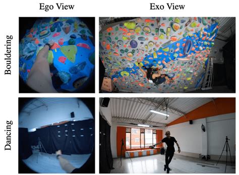Ego Exo D