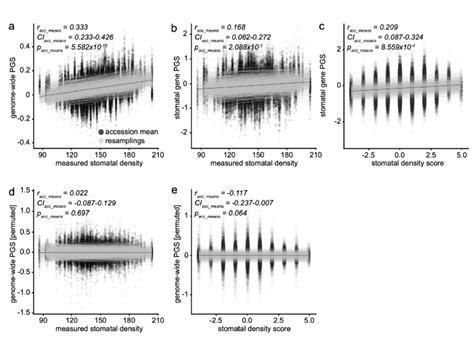 Fig S5 Pgs Correlates With Measured Stomatal Density And Stomatal