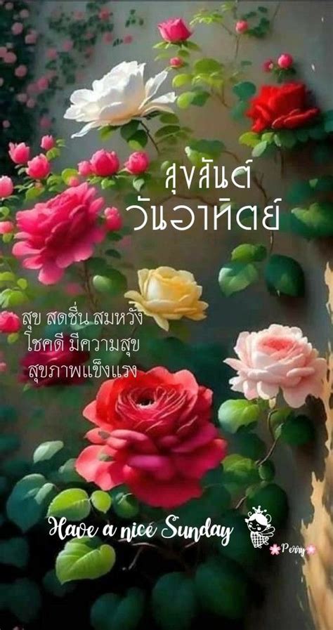 Happy Sunday Quotes Sunday Quotes Good Morning Quotes Good Morning