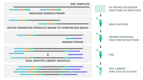 Twist 96 Plex Library Prep Kit Twist Bioscience
